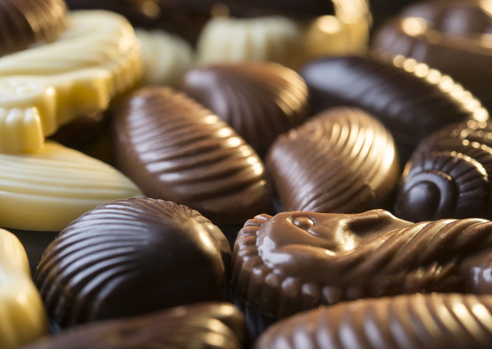 Chocolate Shell Bags